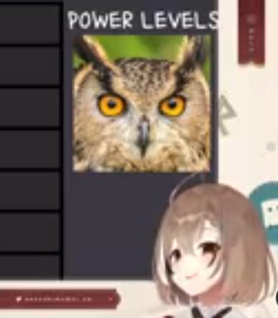 Kson Virus 🍕 Gabriel, Bruno on Twitter: "This blurry image shows 2 owls, or two Mumeis? Pool in ...