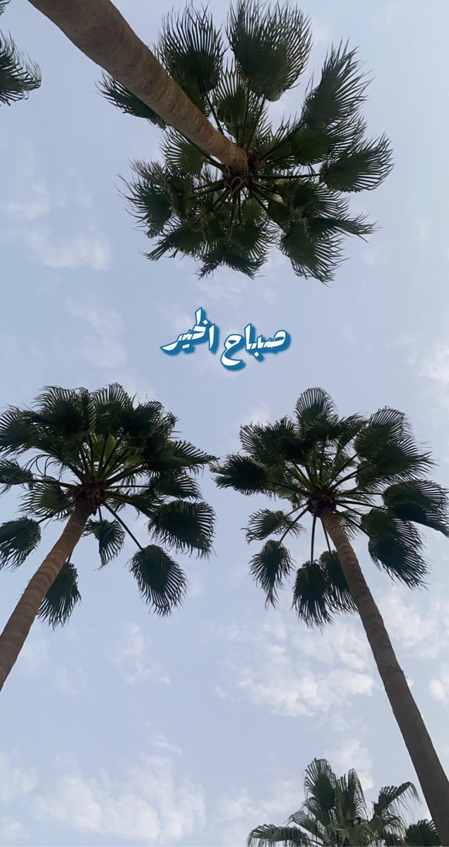 يوميات سائح سلطان ️ On Twitter أصبحنا وأصبح الملك لله رب العالمين