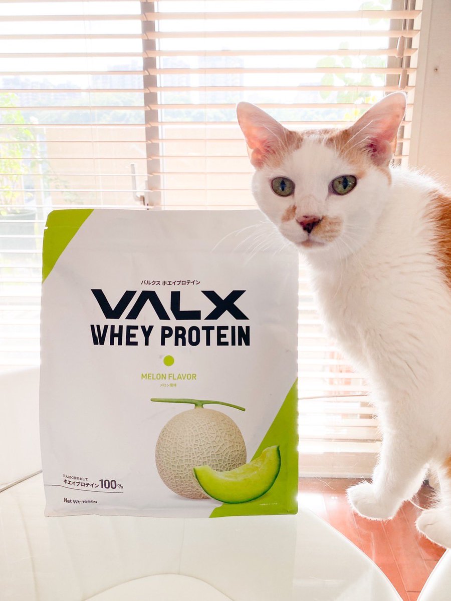 Yoshinori Yamamoto on Twitter: "\毎月25日は #プロテインの日 ／ VALXの人気プロテイン各種が 24時間限定スペシャルプライス🛒 大人気VALXホエイ ...