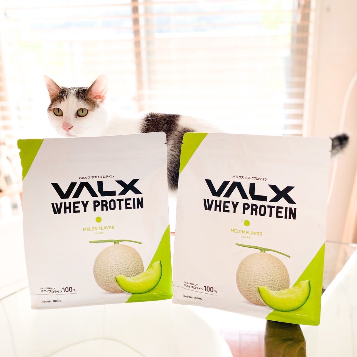 Yoshinori Yamamoto on Twitter: "\毎月25日は #プロテインの日 ／ VALXの人気プロテイン各種が 24時間限定スペシャルプライス🛒 大人気VALXホエイ ...