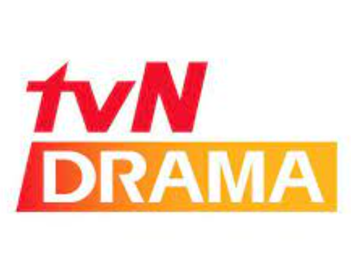 tvn kbs mbc 종영드라마 다시보기 사이트 (@dlathgus5624) / Twitter