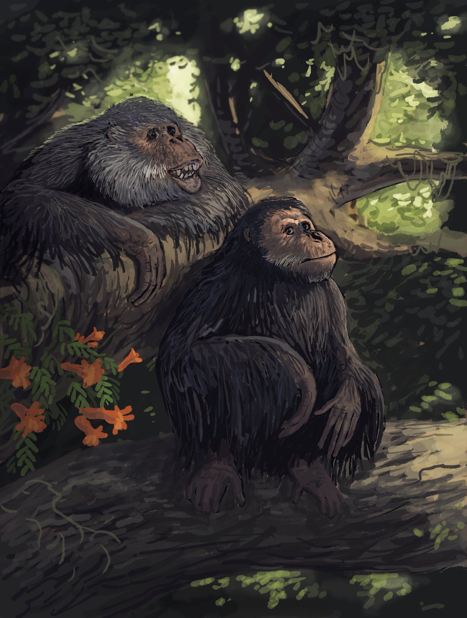 Joschua Knüppe on Twitter: "Our new #MonkeyCruise piece shows two Sivapithecus up in the trees ...