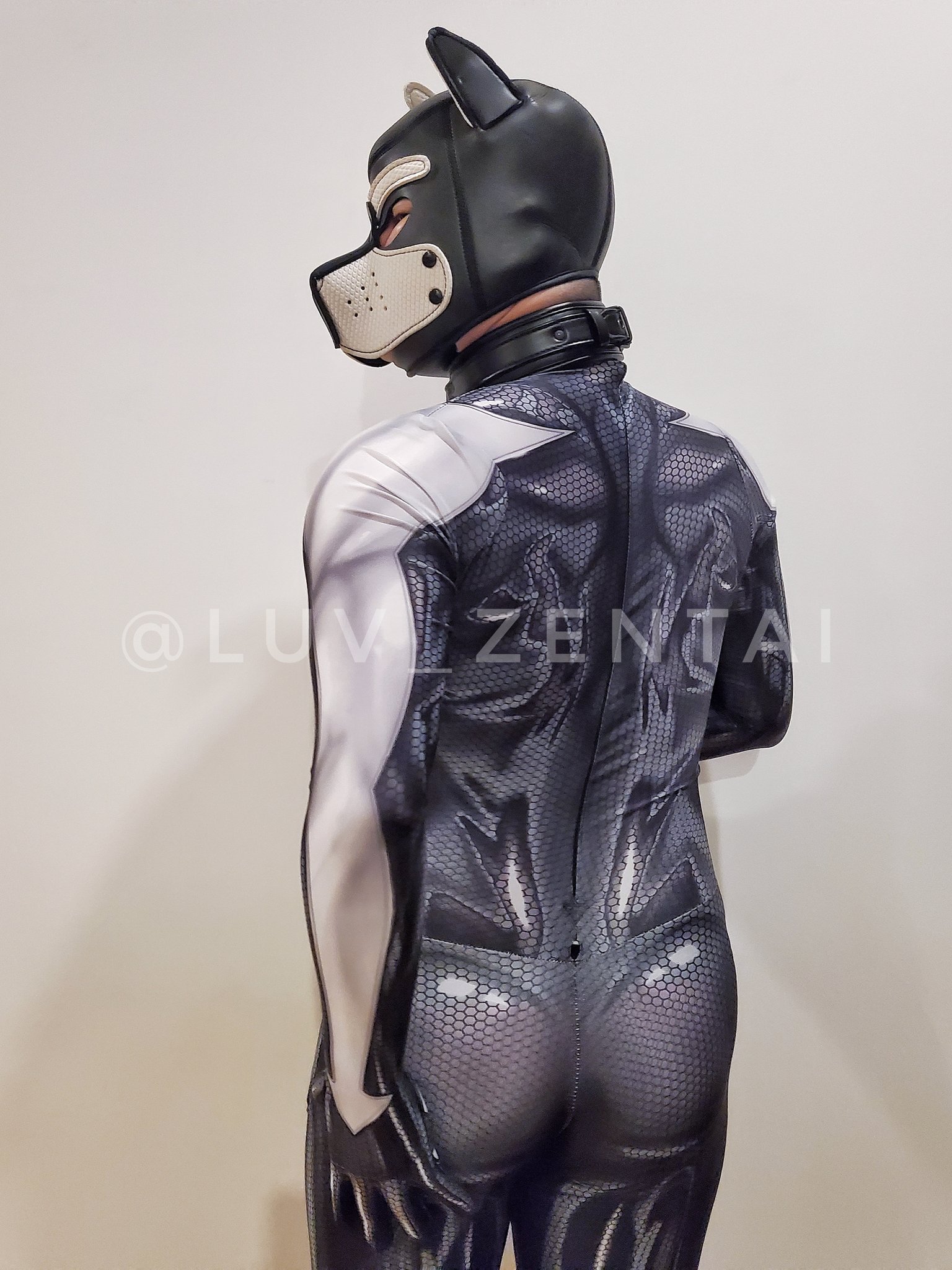 ddd on Twitter: "Someone called me? Or someone wanna taste my my butt butt? 😘🐶 📸: @WebDudeWeb ...