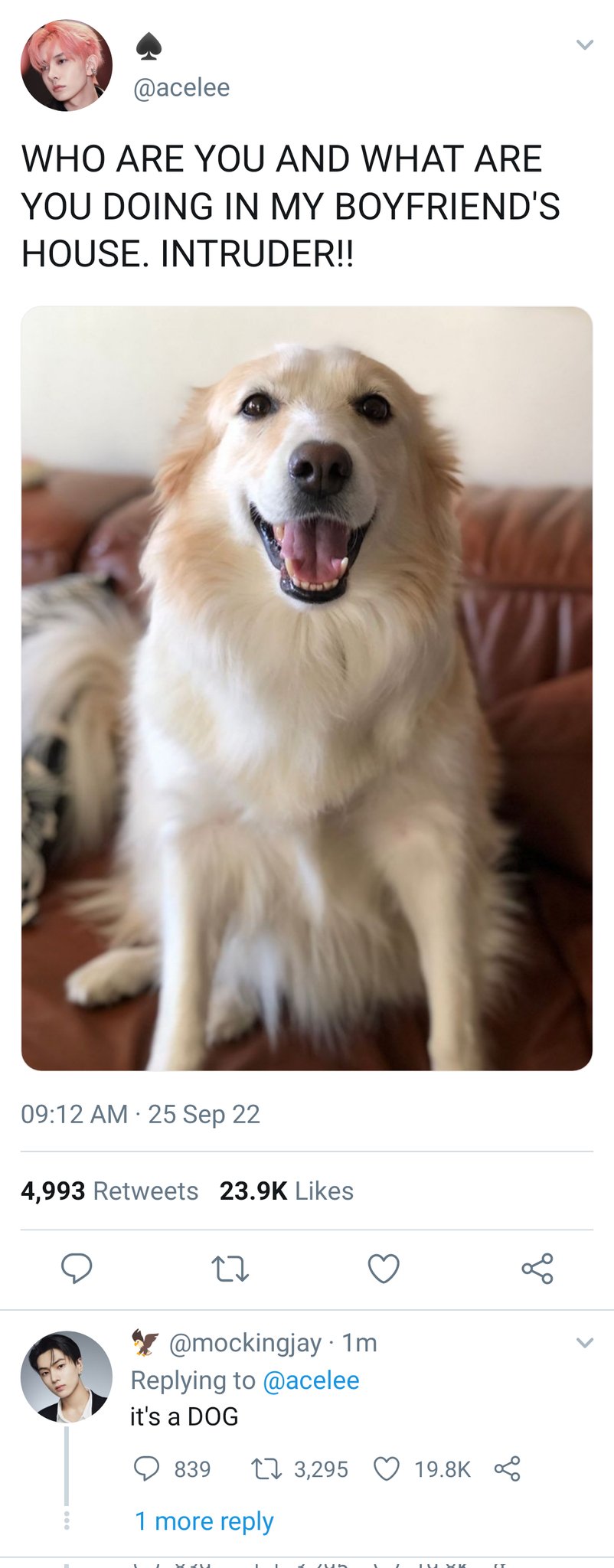 rest. on Twitter: "https://t.co/Gt97KPopt9" / Twitter