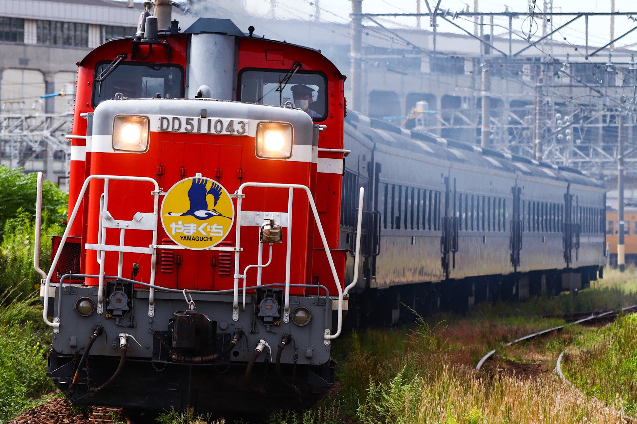 こぐ🧸 on Twitter: "DLやまぐち号 DD51 1043+35系 2022-09-25 https://t.co/6fqyNs0qgx" / Twitter