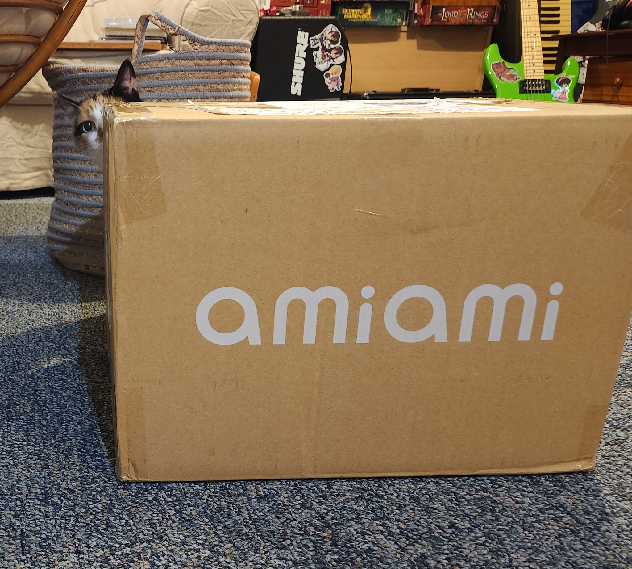 AmiAmi English on Twitter: "RT @REYCALL1: @AmiAmi_English sheet REAALY wants to know what's ...