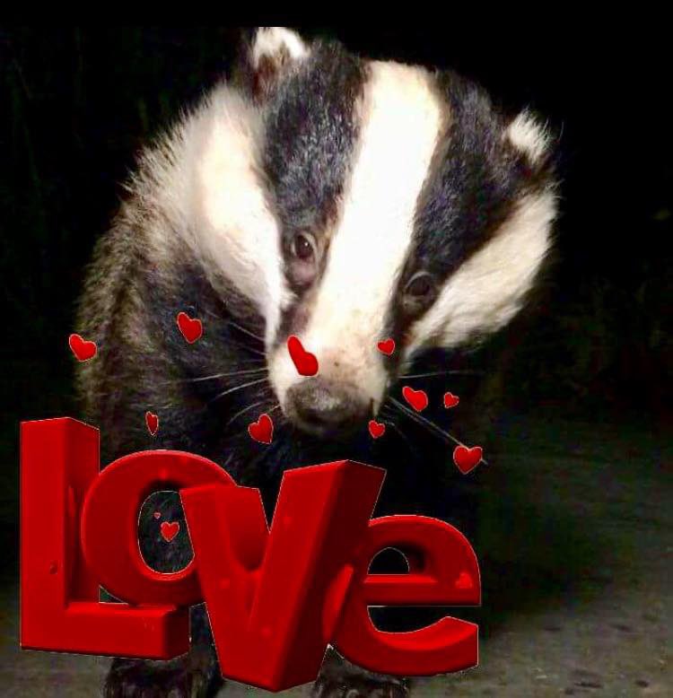 Mr Lumpy & Friends's Threads – Thread Reader App