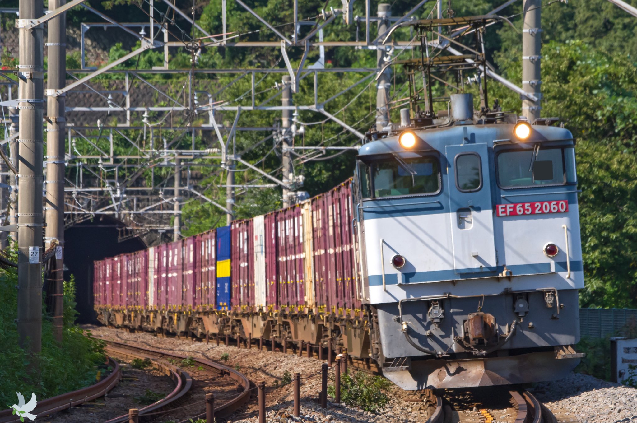 アオバードの撮影記 on Twitter: "2022/09/25 東海道線 3071レ EF65-2060 次はいつ佐奈田でPF撮れるかな？ https://t.co/Adq1bivtXY ...