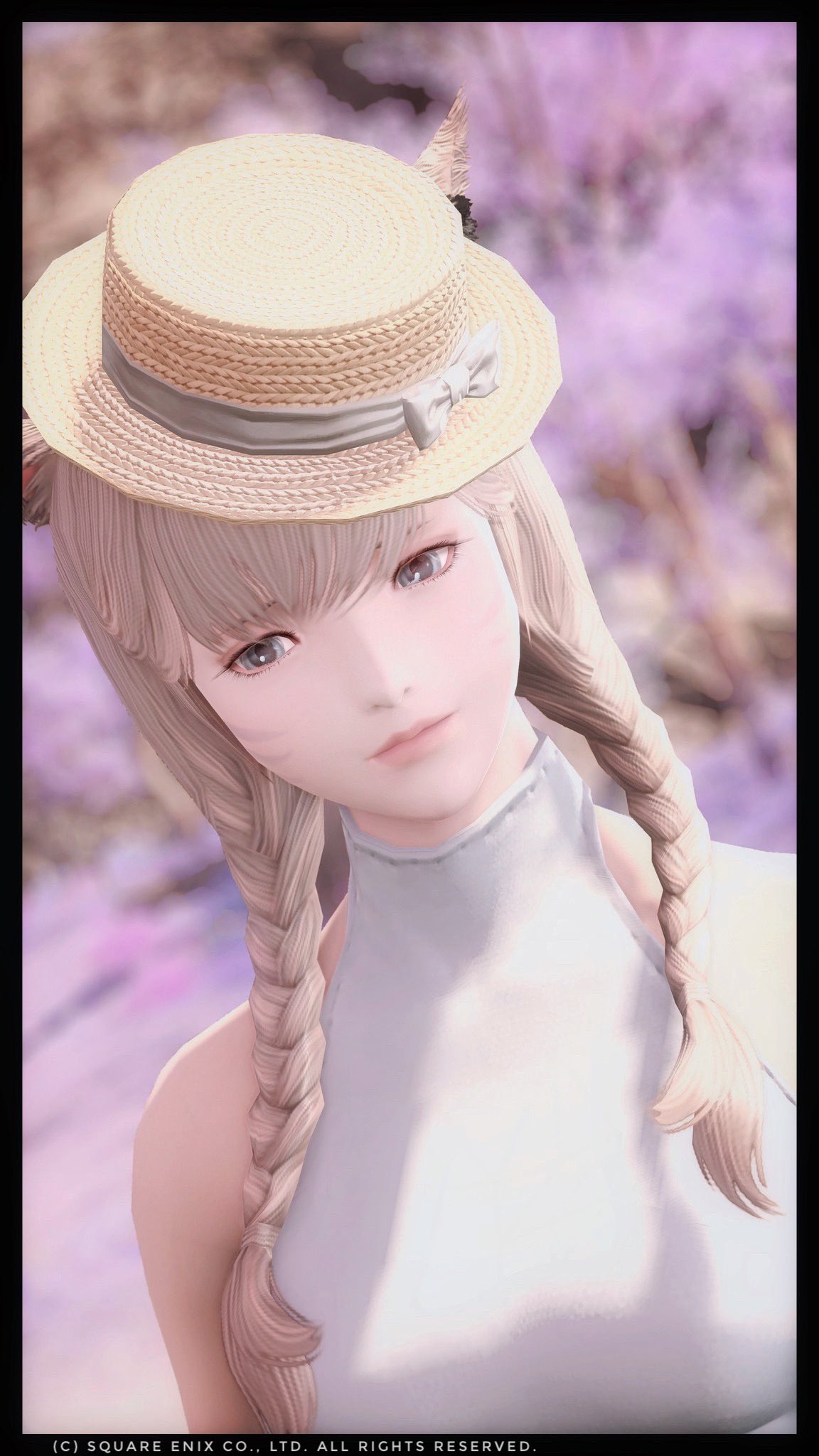 おふぁむさん on Twitter: "@y_Ff14_Ete ほんのり加工させてもらいました(ฅ ω ฅ)ﾆｬ https://t.co/XZFXQhiOBK" / Twitter