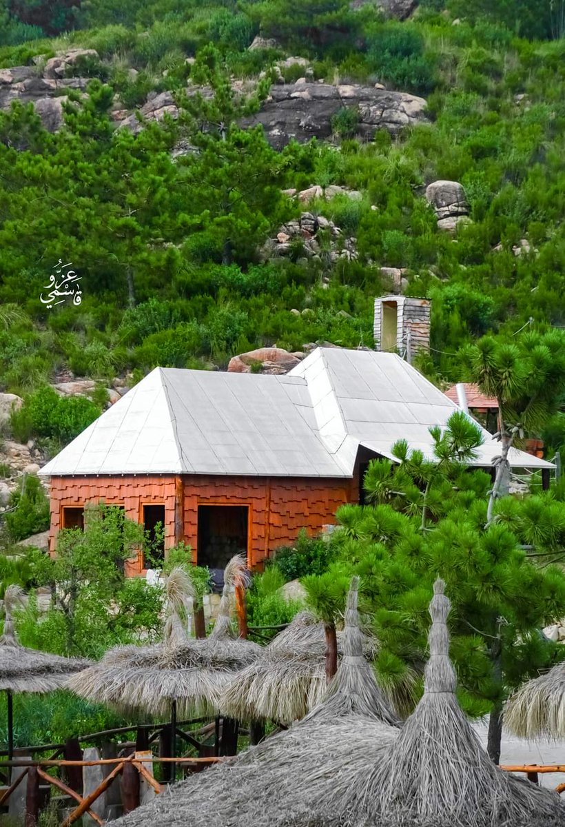 Africa Facts Zone on Twitter: "Ghaba Park in Jijel, Algeria."