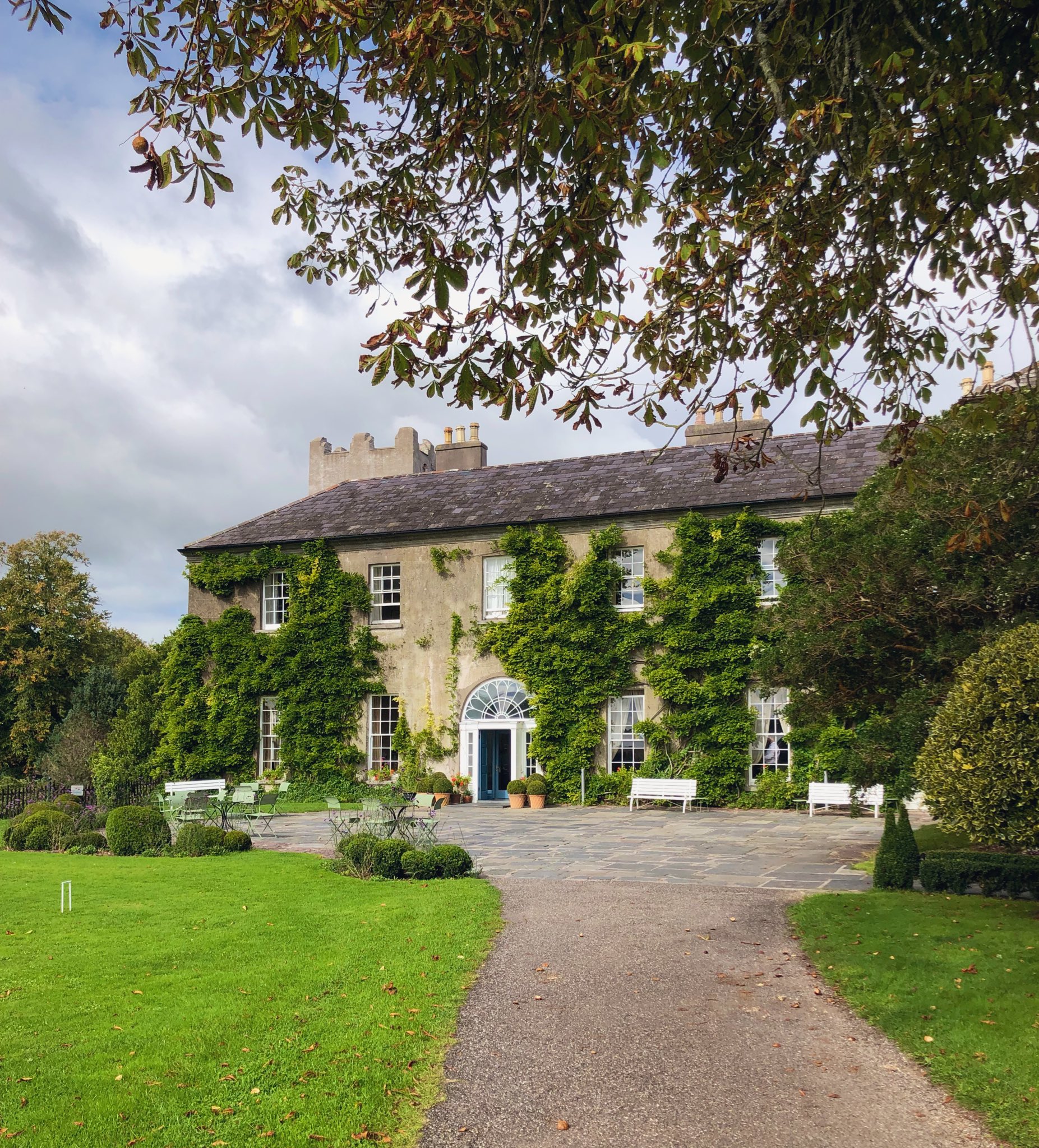 Conor Lynch on Twitter: "Climbing plants can add so much charm to a house https://t.co ...