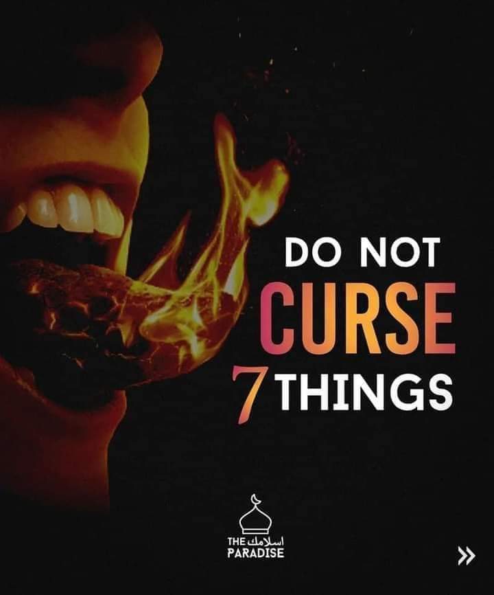Do Not Curse 7 Things.🙃 Must Read 📚 - Thread from Cool_Ustaaz ☪ @Cool_Ustaz - Rattibha