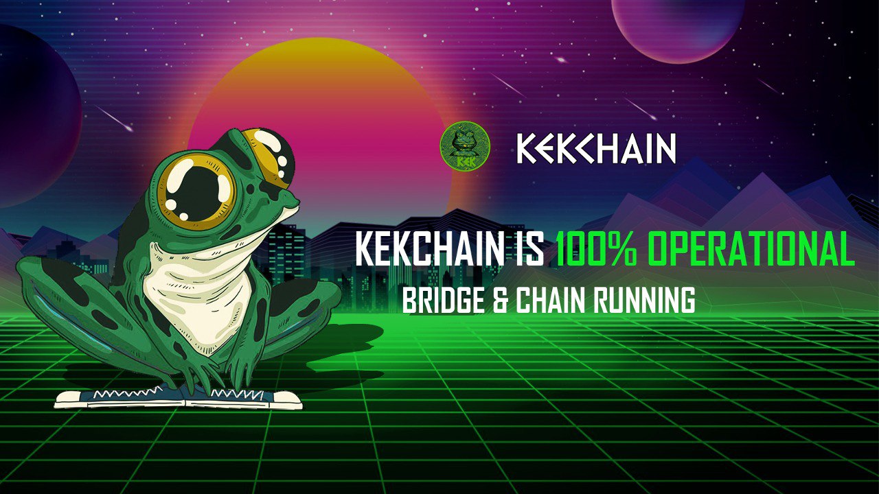 KekChain🐸 on Twitter: "Frens we have some exciting news 🐸🐸🥁 our bridge is live, we are 100% ...