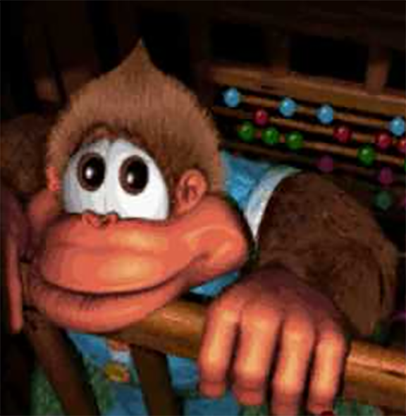 Donkey Kong Country 3 Game Over