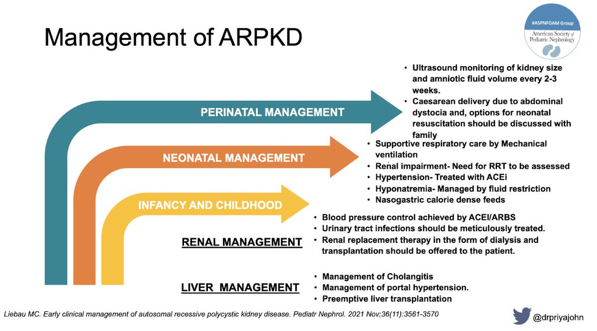 Hello #NephTwitter #Renal #MedTwitter @aspneph radiology webinar for ...