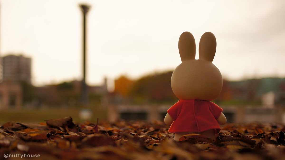 Miffyhouse ミッフィー専門店 On Twitter いまはまだ報われない敗者だとしても 明日はどうかしら Deazyuww1s Twitter 