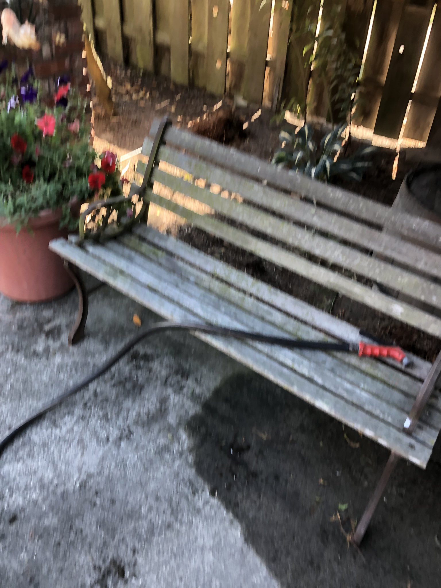 KStew On Twitter catturd2 Just A Sample Of When Home Brings You So Much Joy Your Pic kstew-on-twitter-catturd2-just-a-sample-of-when-home-brings-you-so-much-joy-your-pic