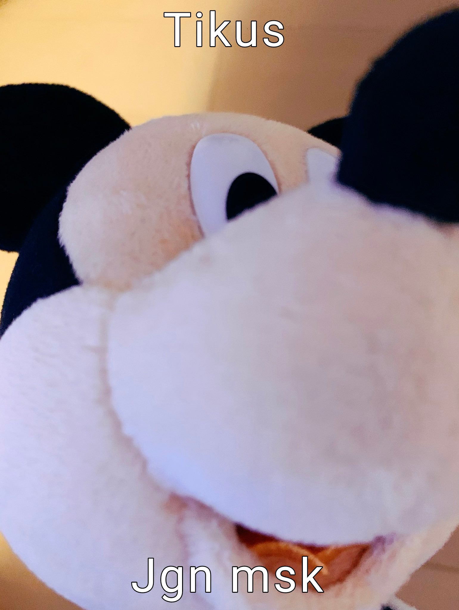 Ayunda Risu(リス)🐿@ホロライブID|MIRA cover @YT!! on Twitter: "@inugamikorone https://t.co/SrNiNBJZeF ...