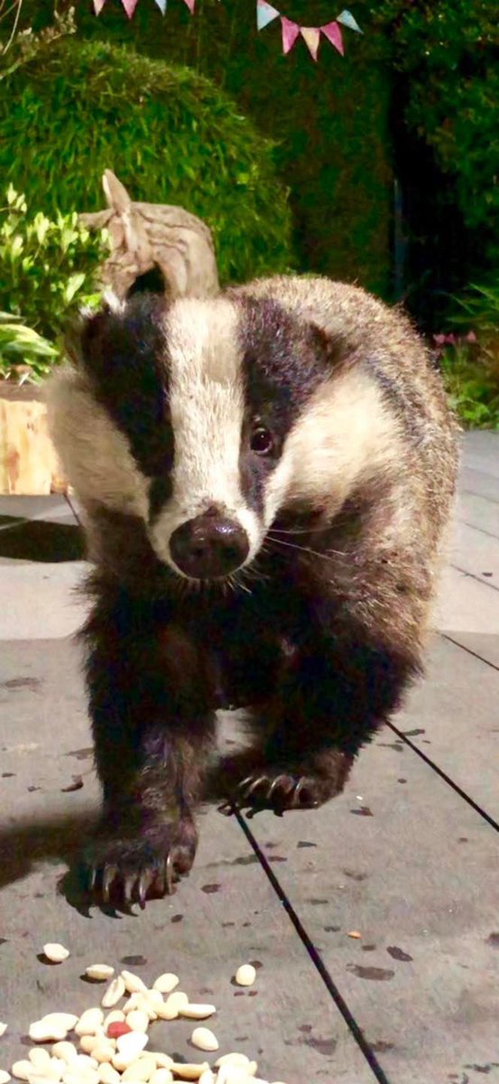 Mr Lumpy & Friends's Threads – Thread Reader App