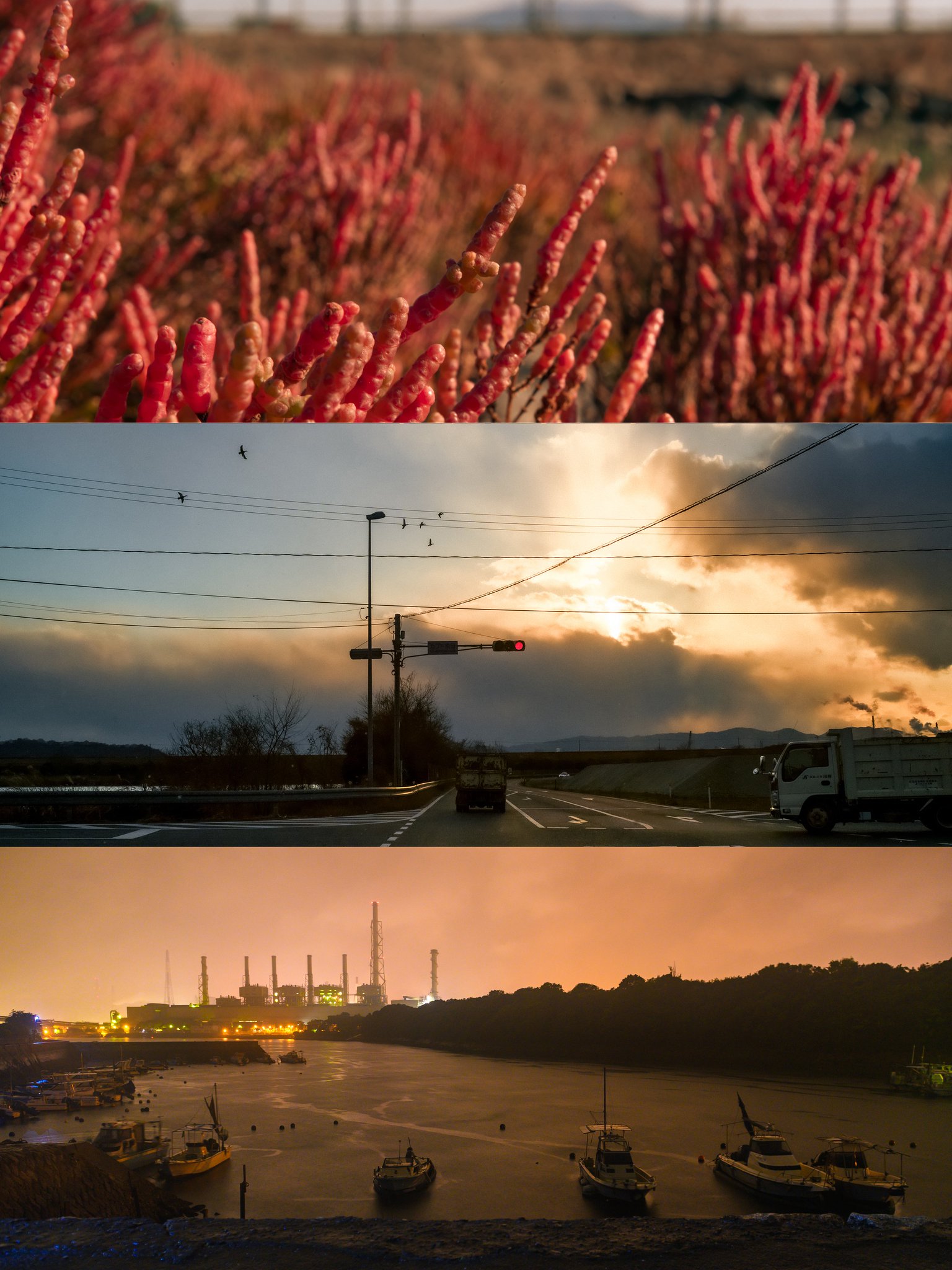 Pan-nu on Twitter: "秋色 https://t.co/0f2LcxbFwD" / Twitter