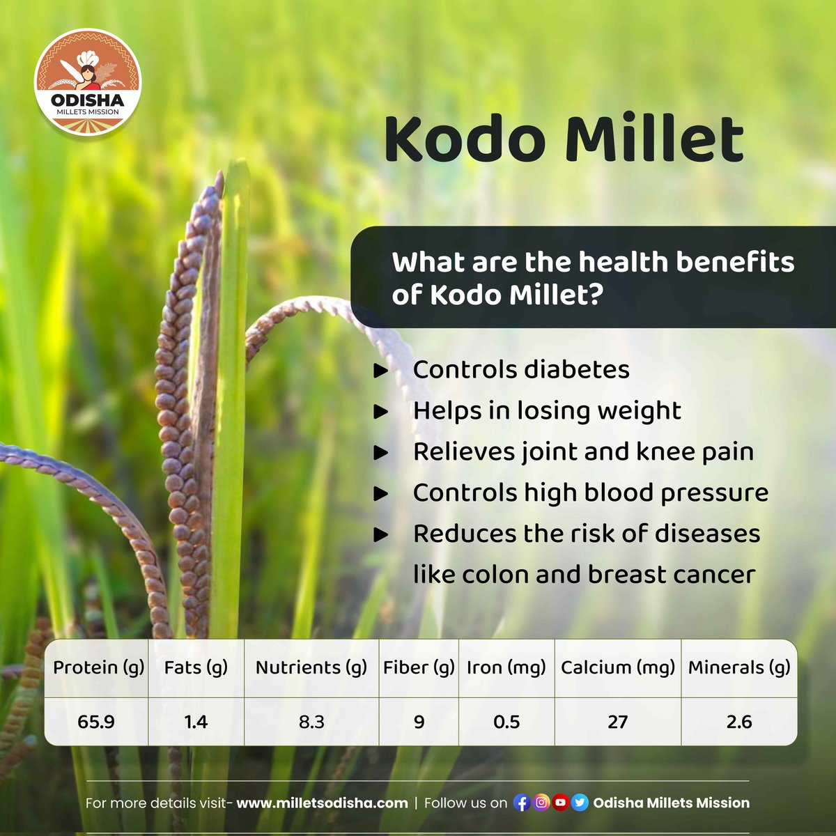 Millet Plant Benefits