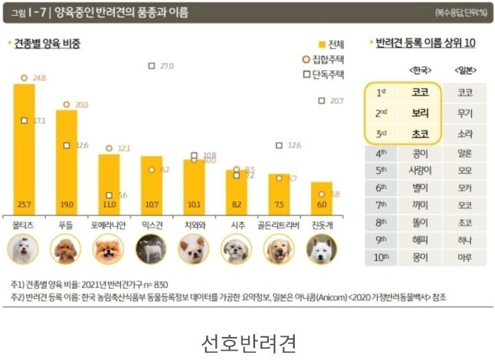 인스티즈(instiz) on Twitter: "한국인들이 가장 많이 키우는 견종 + 가장 많은 이름 https://instiz.net/pt/7236651"