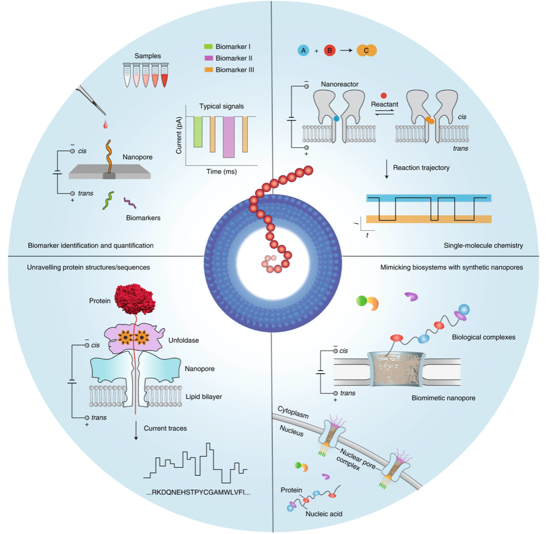 Home - Cees Dekker Lab