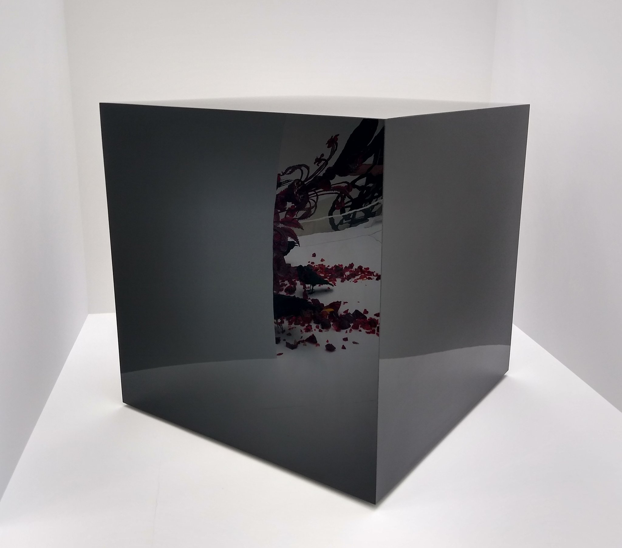 Jazz Shaw on Twitter: "This one is called "black cube." Can confirm. https://t.co/KcCTpx4BwG ...