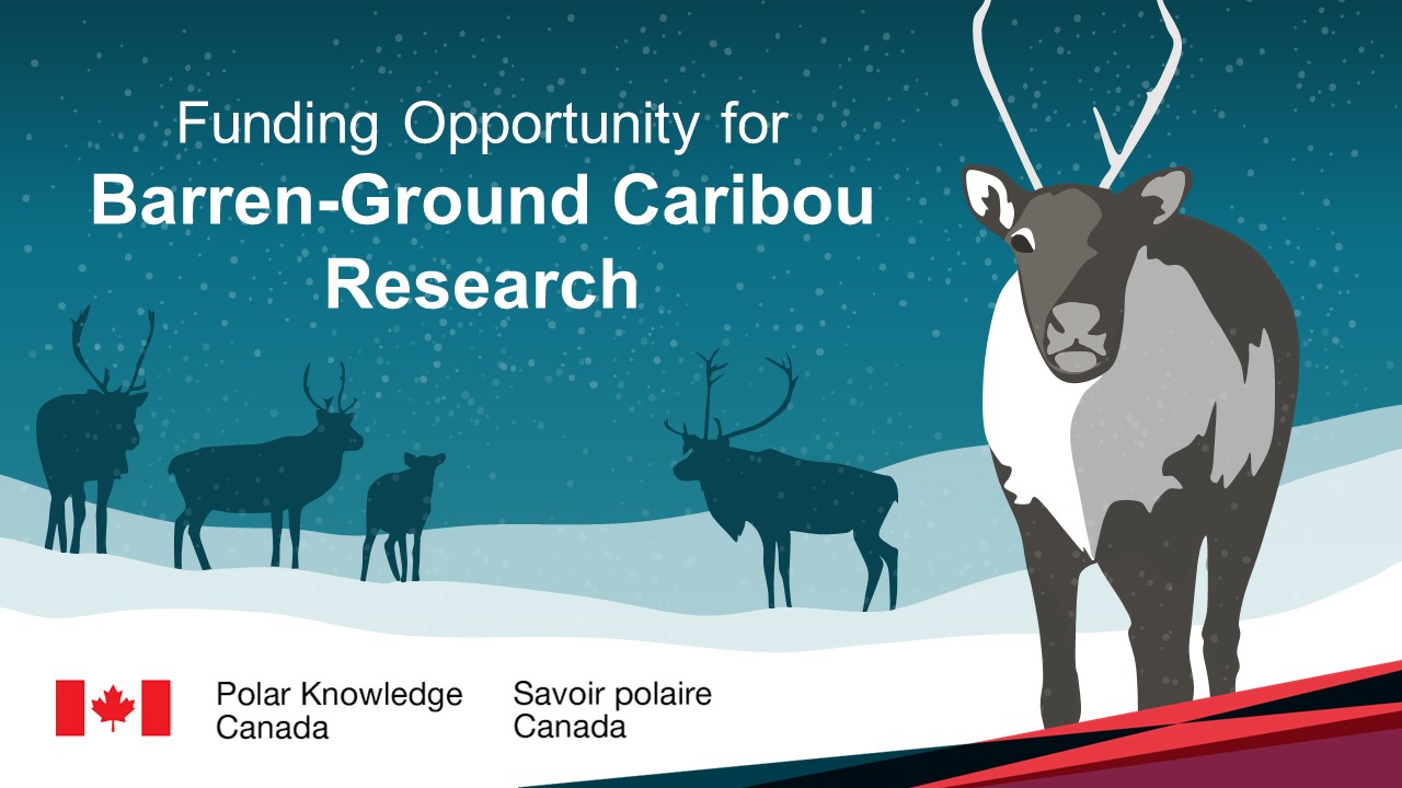 Fate of the Caribou project (@FateOfCaribou) / Twitter