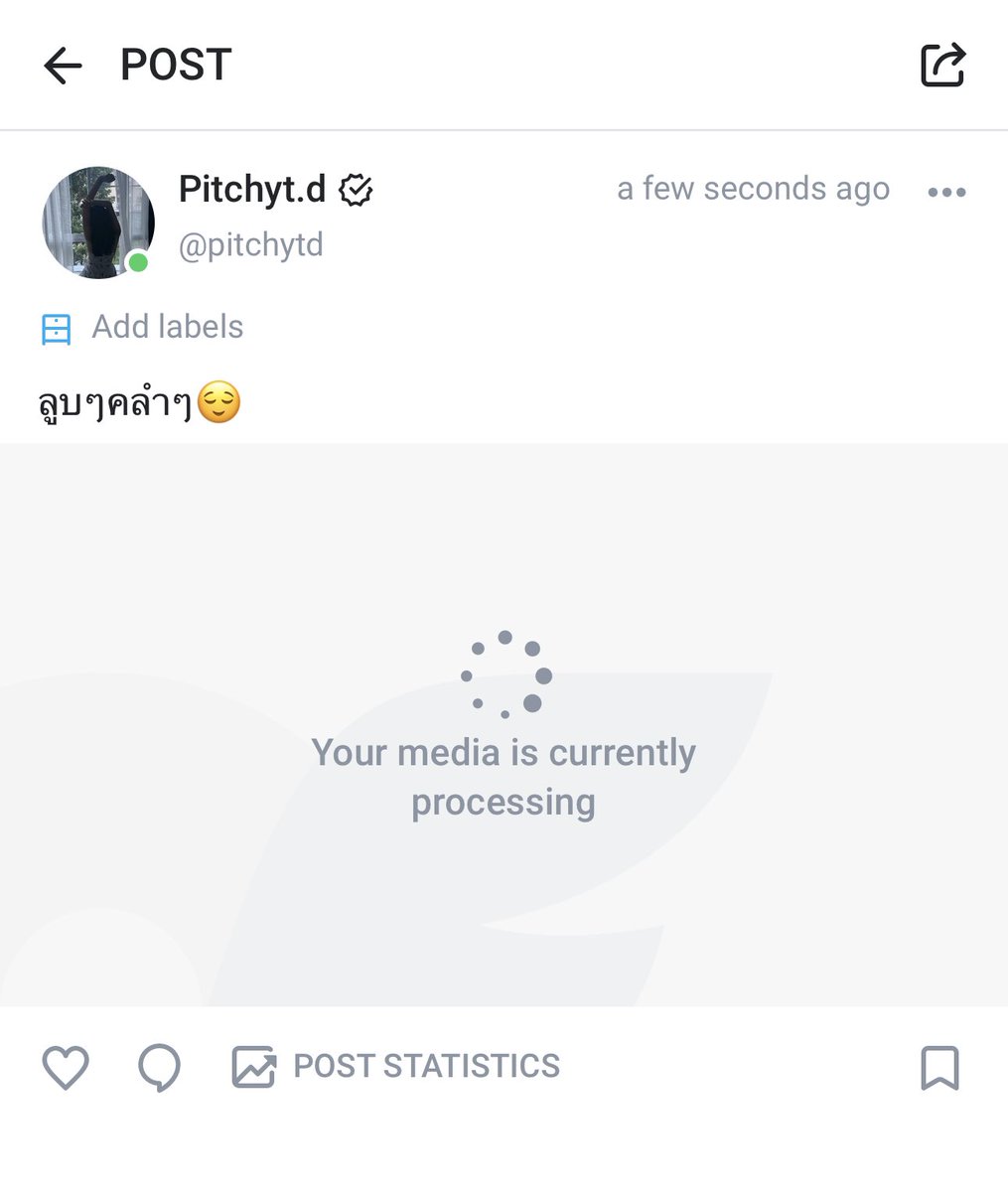 Pitchy 🍑 (ไม่มีแอคล็อค) on Twitter: "🥺https://onlyfans.com/pitchytd"