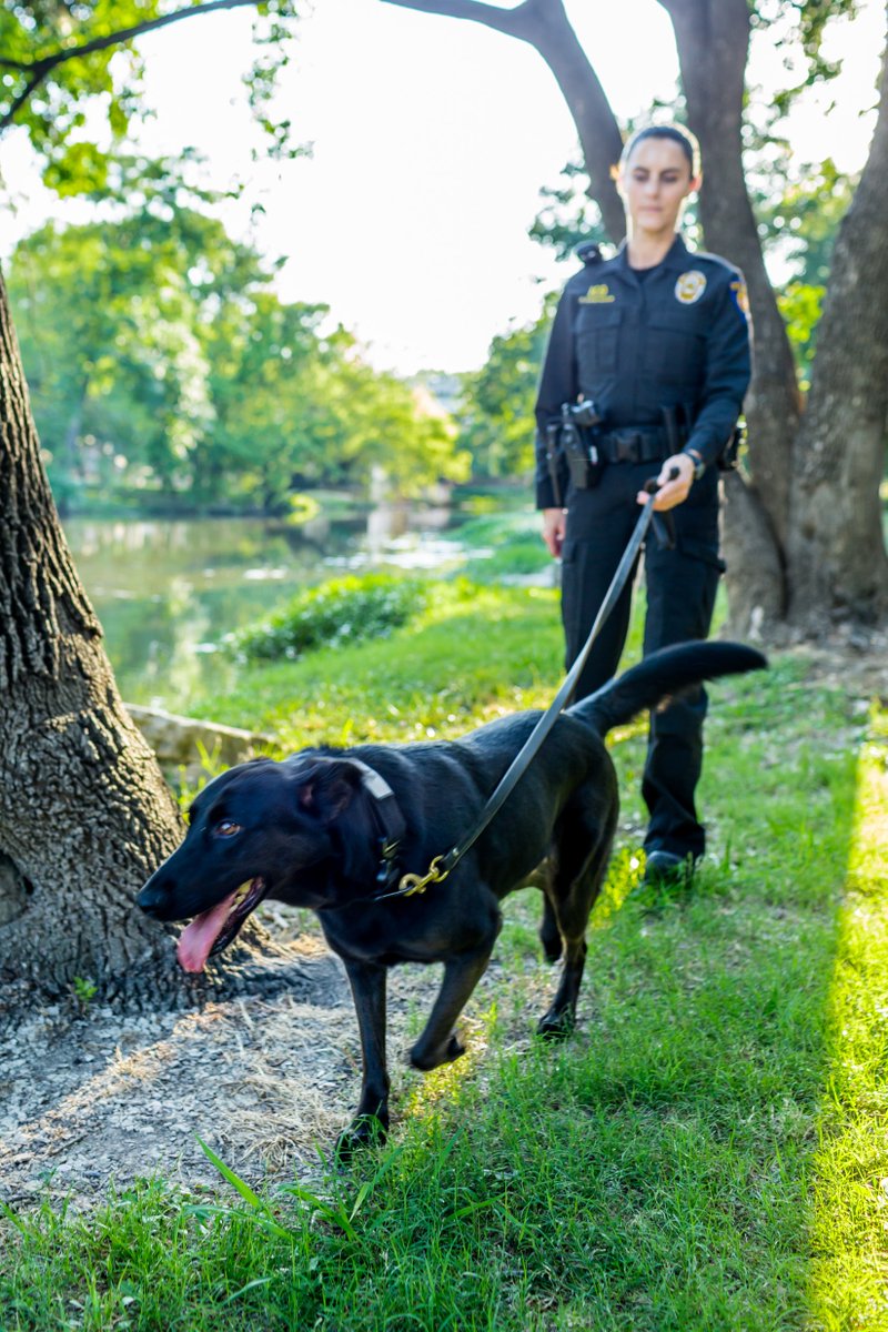 Round Rock Police on Twitter: "(2/2) Detective Tracy Warren picked up Karma from an animal ...