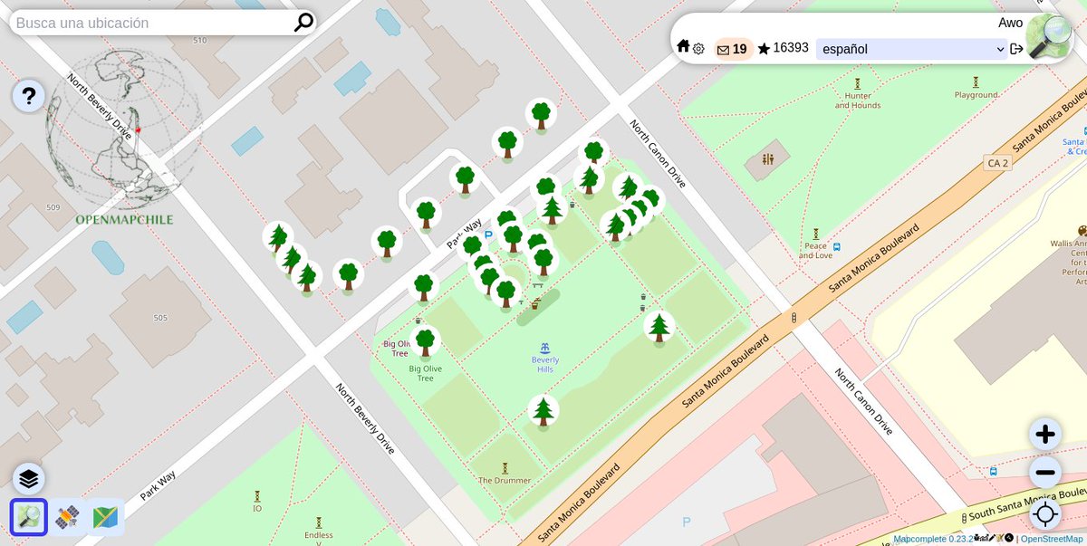 openmapchile (OMCh) on Twitter: "Nos reportan #Jubaea chilensis #palma 🇨🇱 en #BeverlyHills 🇺🇸 y ...