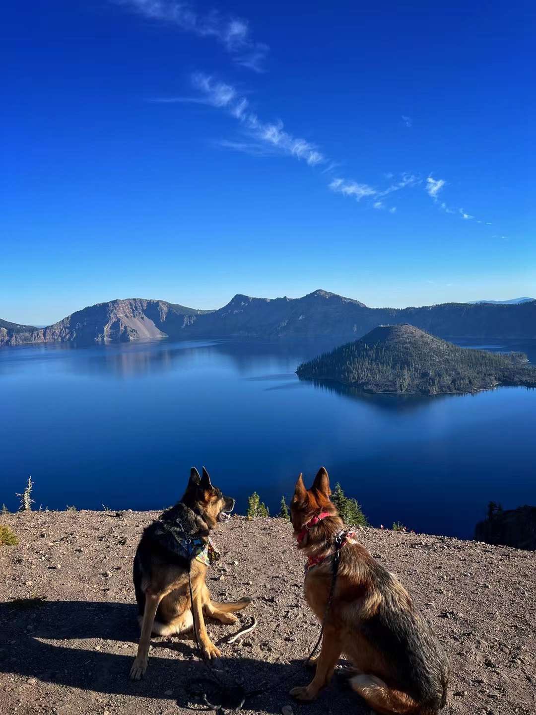 Jayfeath3r on Twitter: "Cannon beach, boys and sea. https://t.co/xEyRDC8m8W" / Twitter