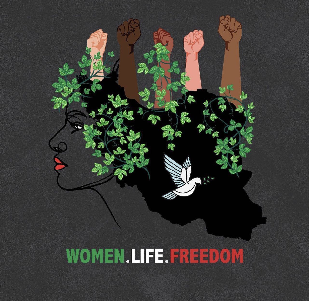 Freedom Life