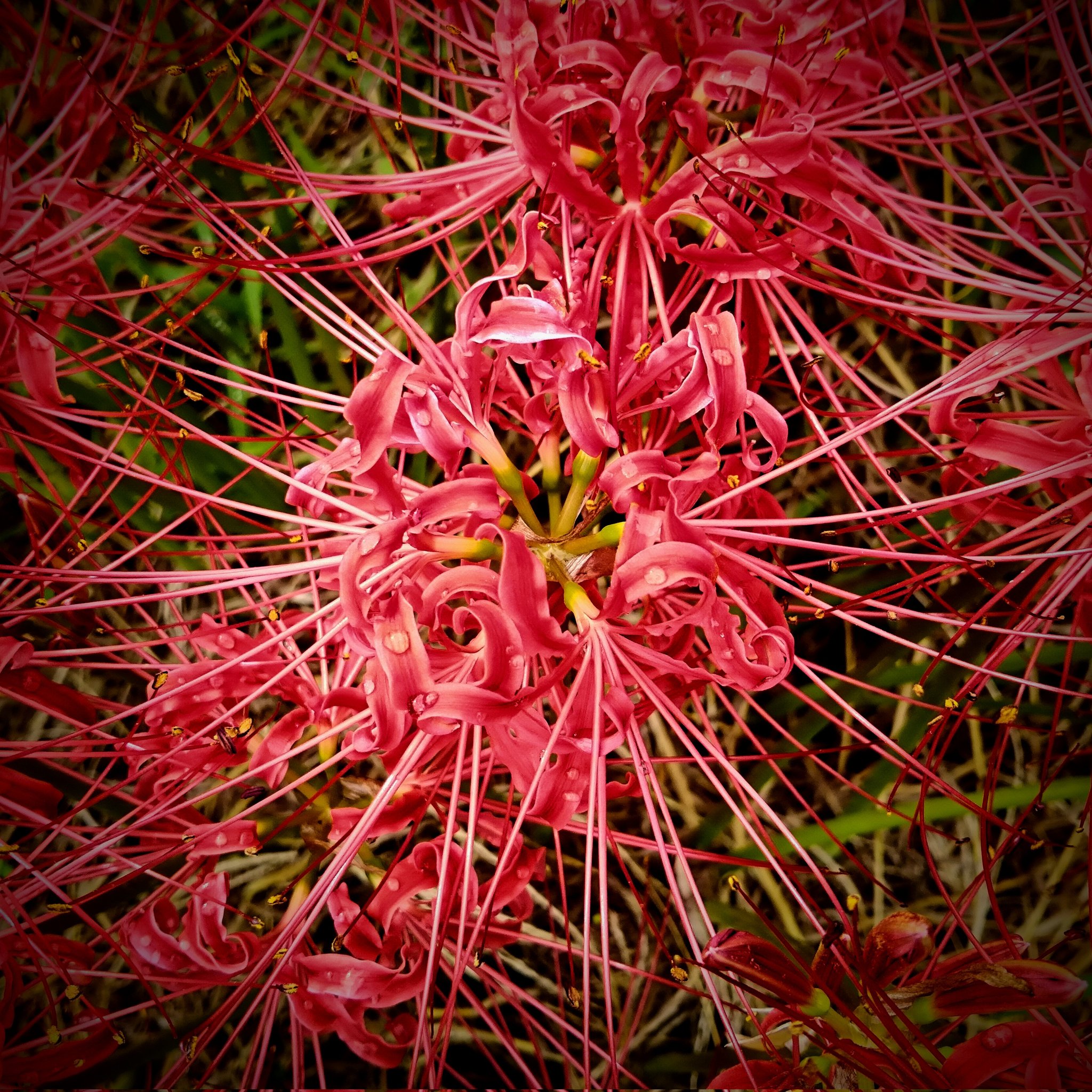 STUDIO_TARAS on Twitter: "おはようございます。 2014年9月27日は快晴。 午前11時52分に木曽の御嶽山が噴火し、死者58名、行方不明5名を出す惨事となりました ...