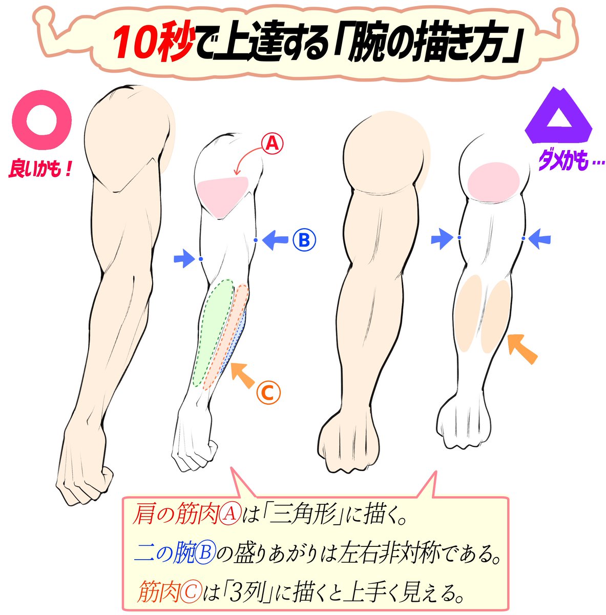 吉村拓也【イラスト講座】 On Twitter 10秒で上達しやすい「腕の筋肉の描き方」 6年間twitterで毎日アップしてきた 『イラスト講座の図書館』です👇