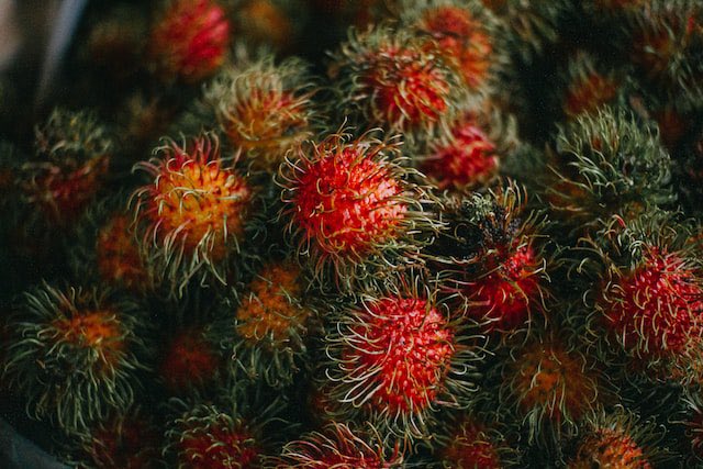 Akemi Arlin 🐍 Legends on Twitter: "@Aisha_Channel ล้อเล่นเฉยๆ ง้อๆนะคะ https://t.co/SUeOYVC2sf ...