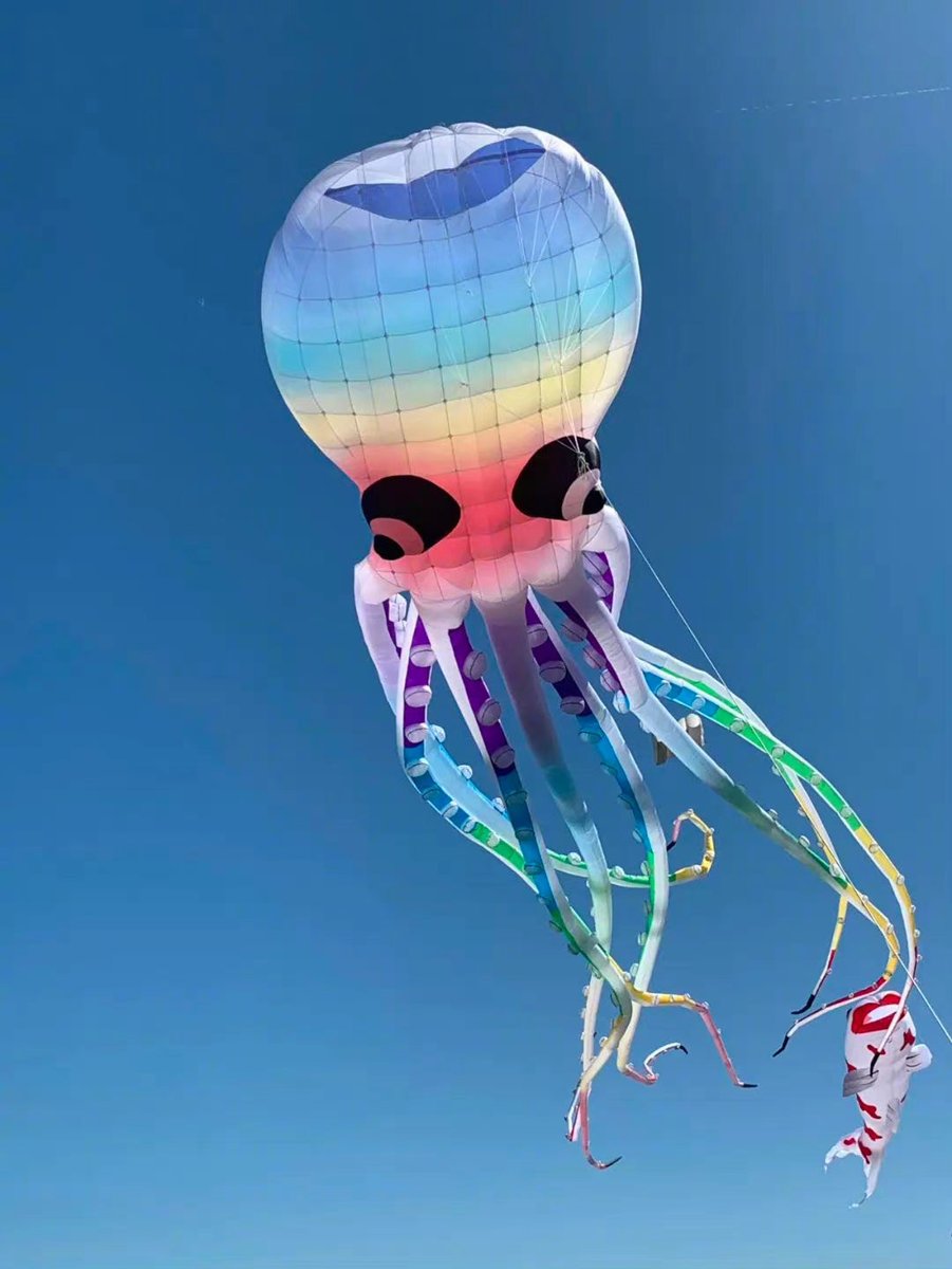 Fly your joy up to the sky! Enjoy the kite fair in Weifang, east China ...