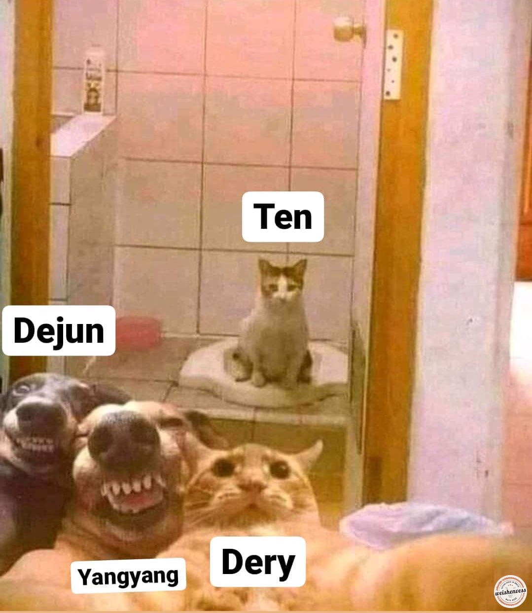 Funny Animal Memes Tagalog