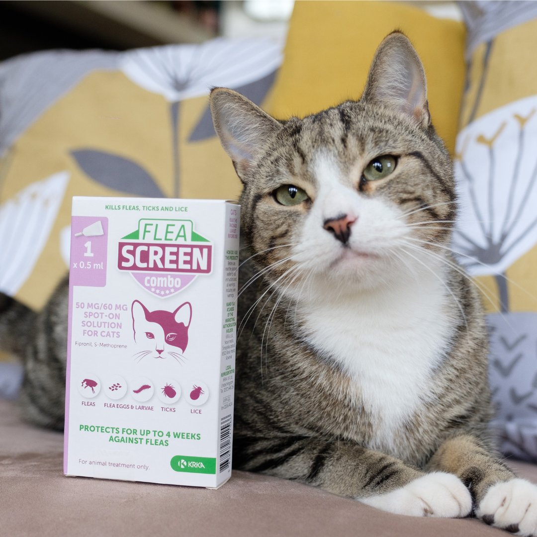 PDSA on Twitter: "⚠️ Tick season is well under way and it’s time to take down some pesky ...