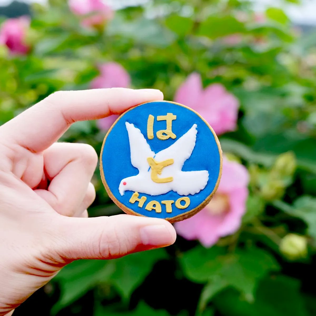 haco (@haco_8_5) / Twitter