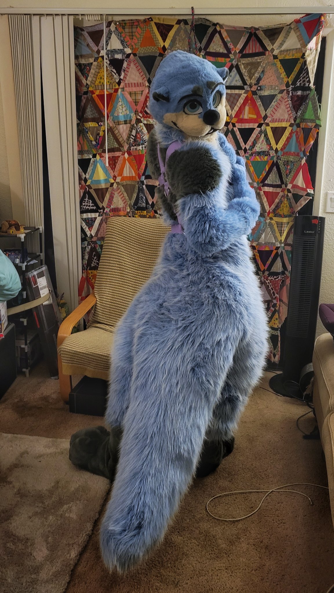 Luto on Twitter: "I feel like it's a good day to appreciate my heck of a rudder #TailTuesday ...