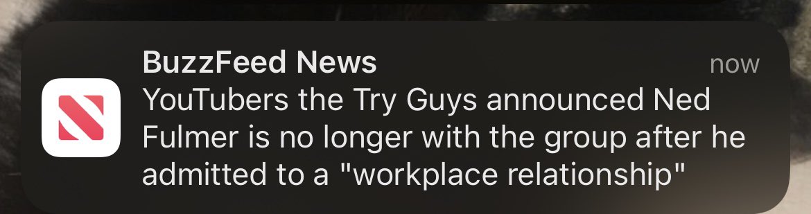 RuthDraws🏳️‍🌈🦵💗#1 fan ~semi ia for Finals Week on Twitter: "NOT BUZZFEED REPORTING ON THE TRY ...