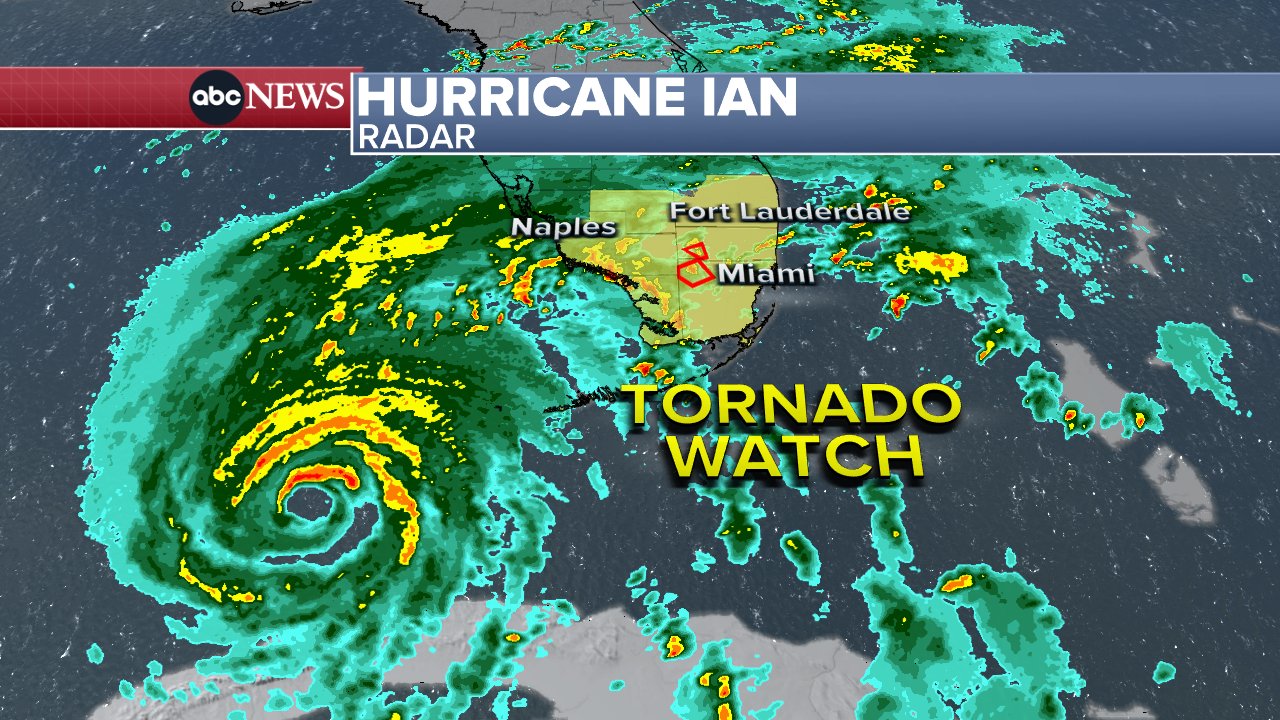 Dan Amarante (@DanAmarante) / Twitter