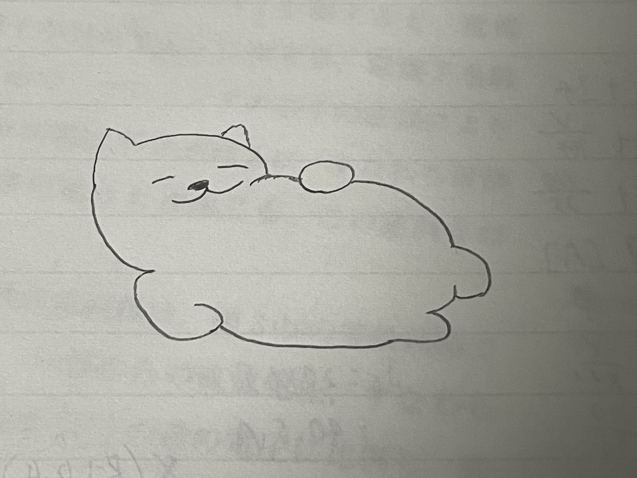 のるねる (@noruneru_spla) / Twitter