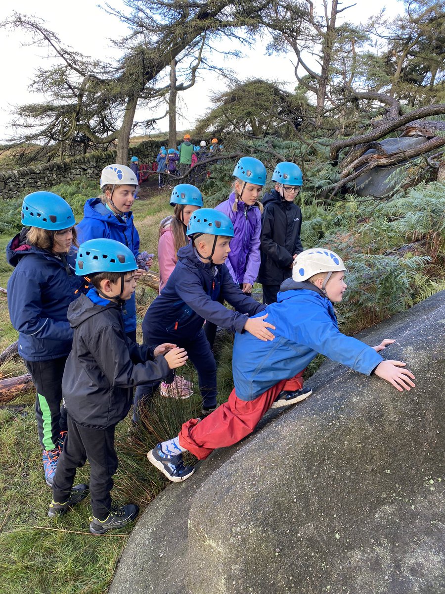 Primitas Learning Partnership