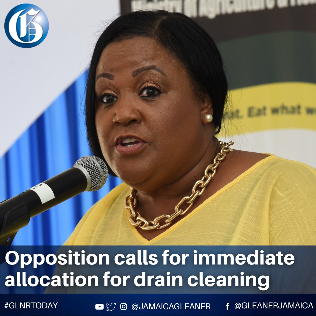 Jamaica Gleaner on Twitter: "Opposition Spokesperson on Local Gov't Natalie Neita Garvey is ...