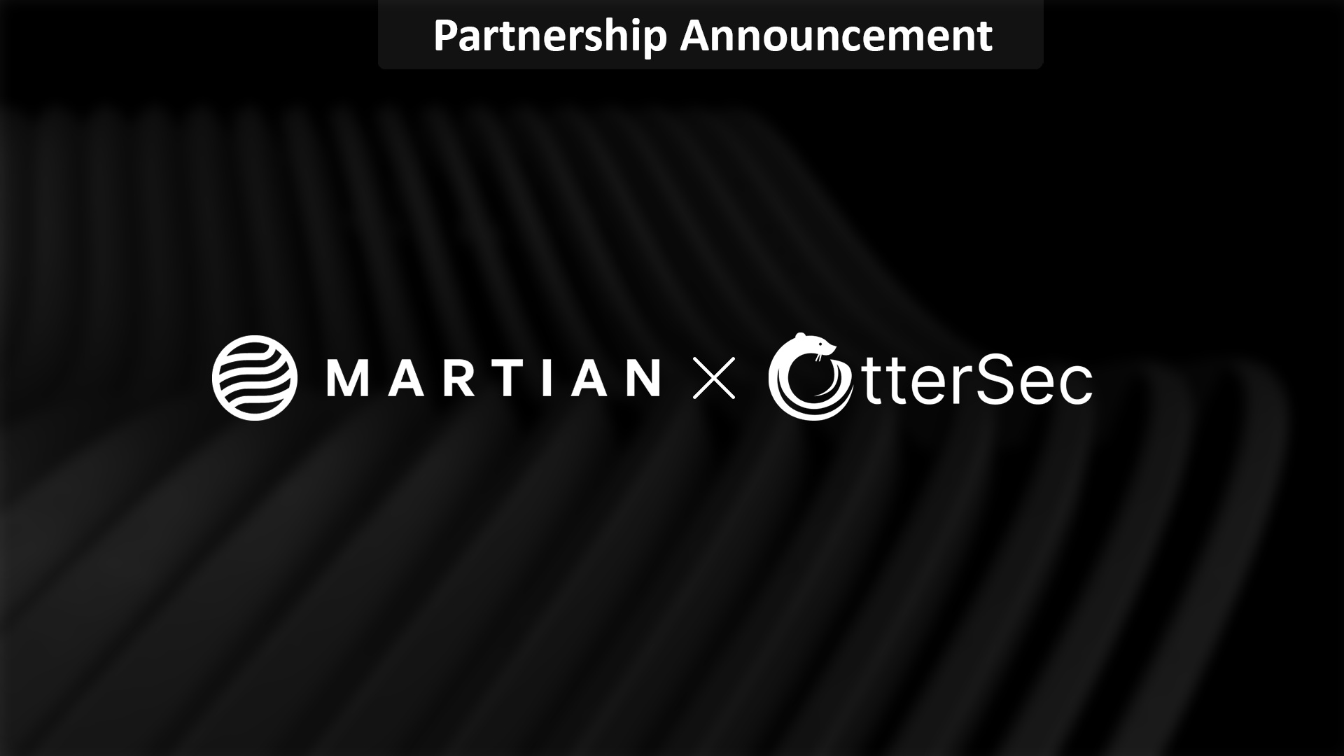 OtterSec (@osec_io) / Twitter