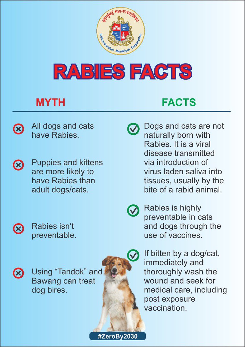Are Puppies Born With Rabies