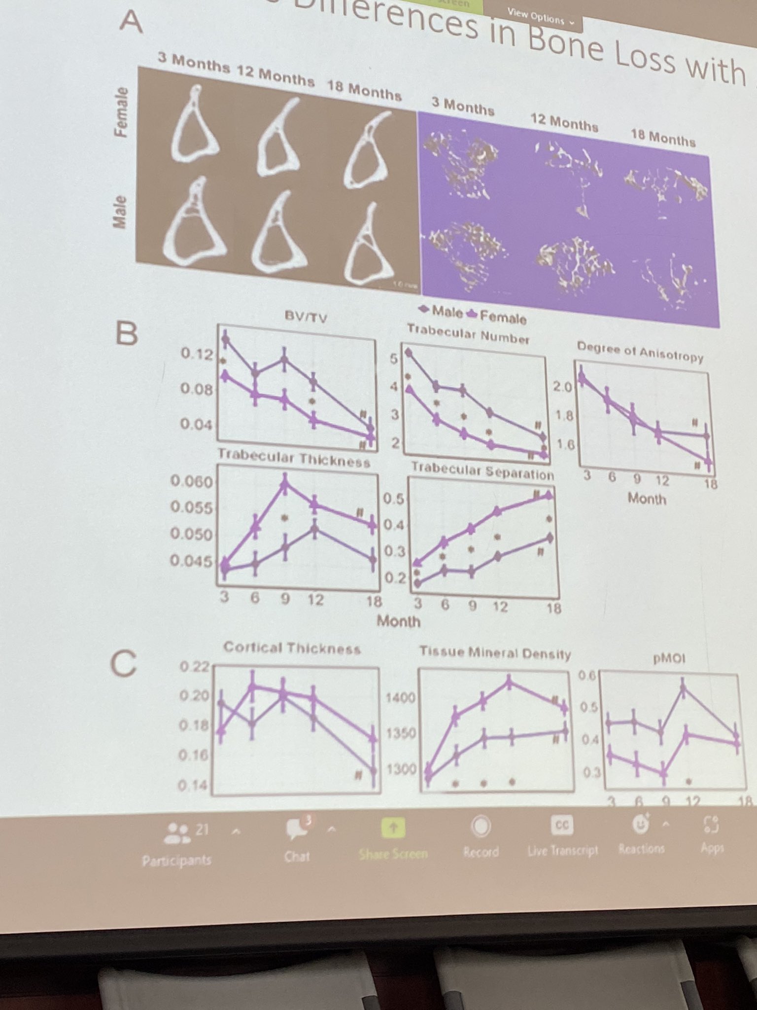 Divieti Pajevic_Lab (@PDP_Lab) / Twitter